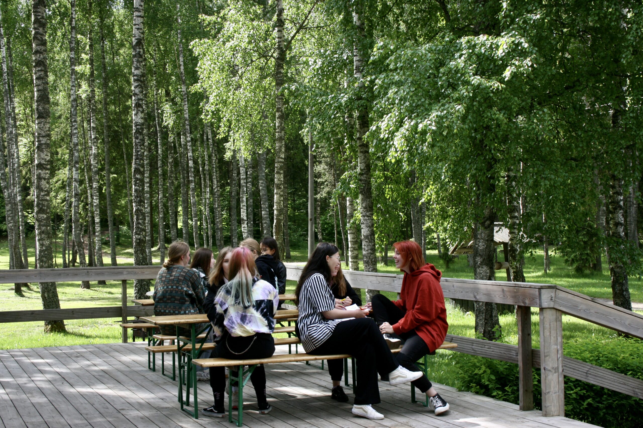 [OPEN] “Green Horizons” blended mobility in Romania — Shokkin Group Estonia